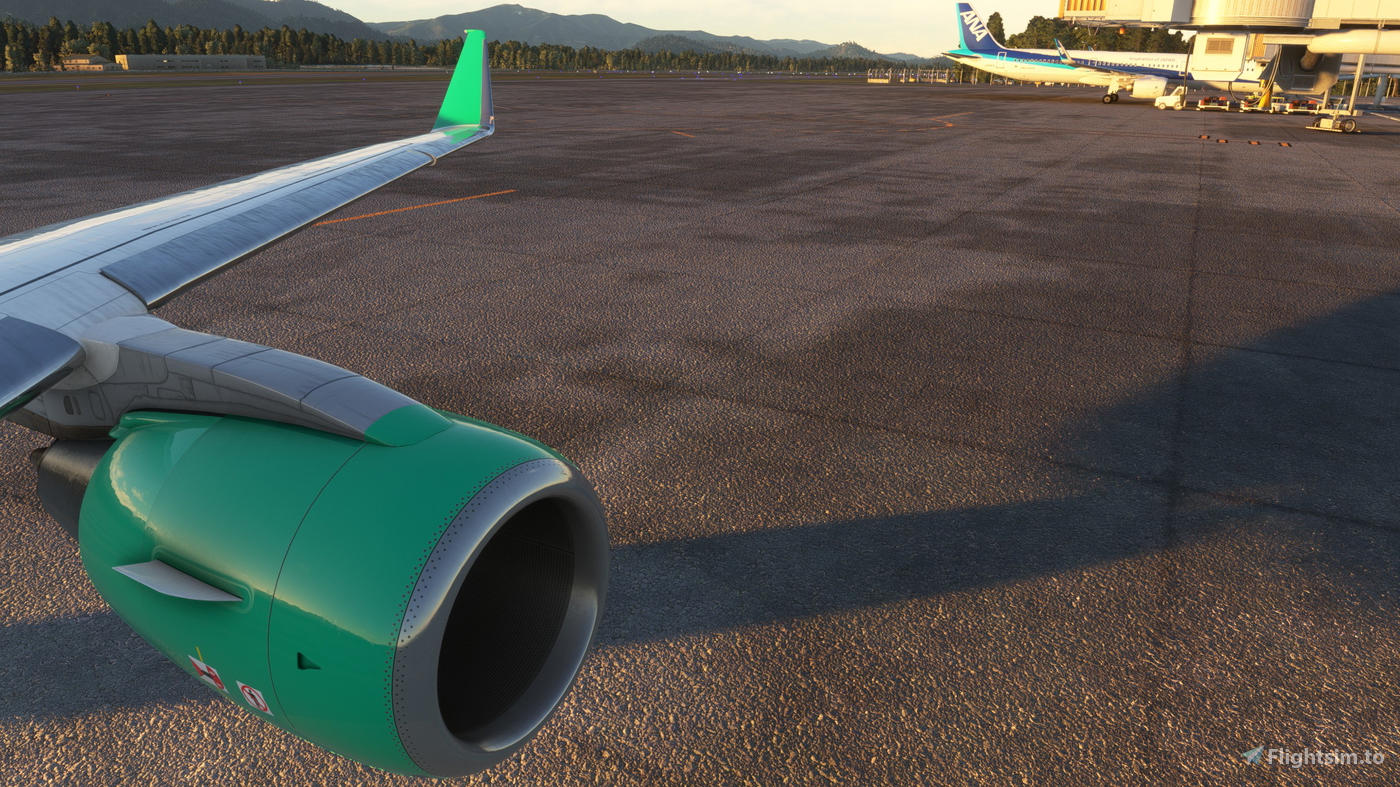 FSS E175 Modified VC and Showcase Views for Microsoft Flight Simulator ...