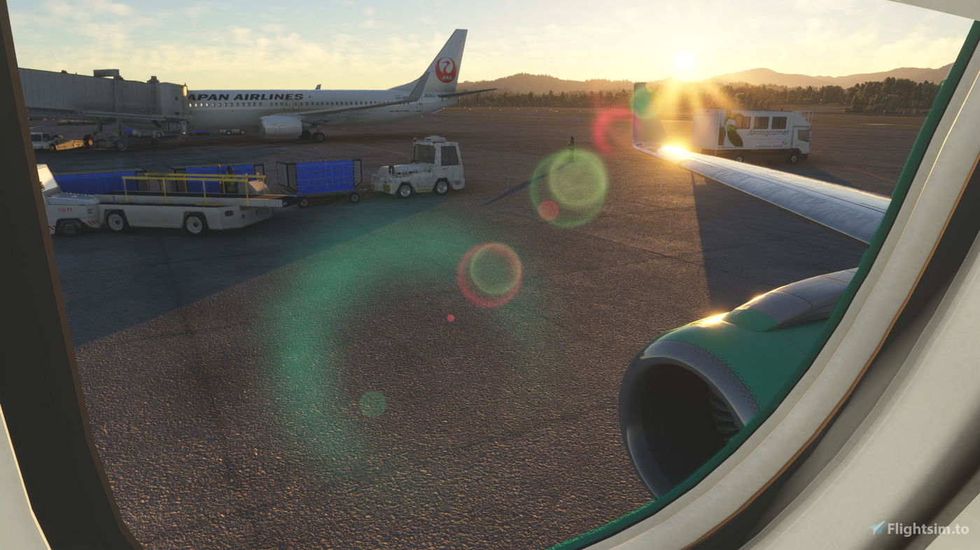 FSS E175 Modified VC and Showcase Views for Microsoft Flight Simulator ...