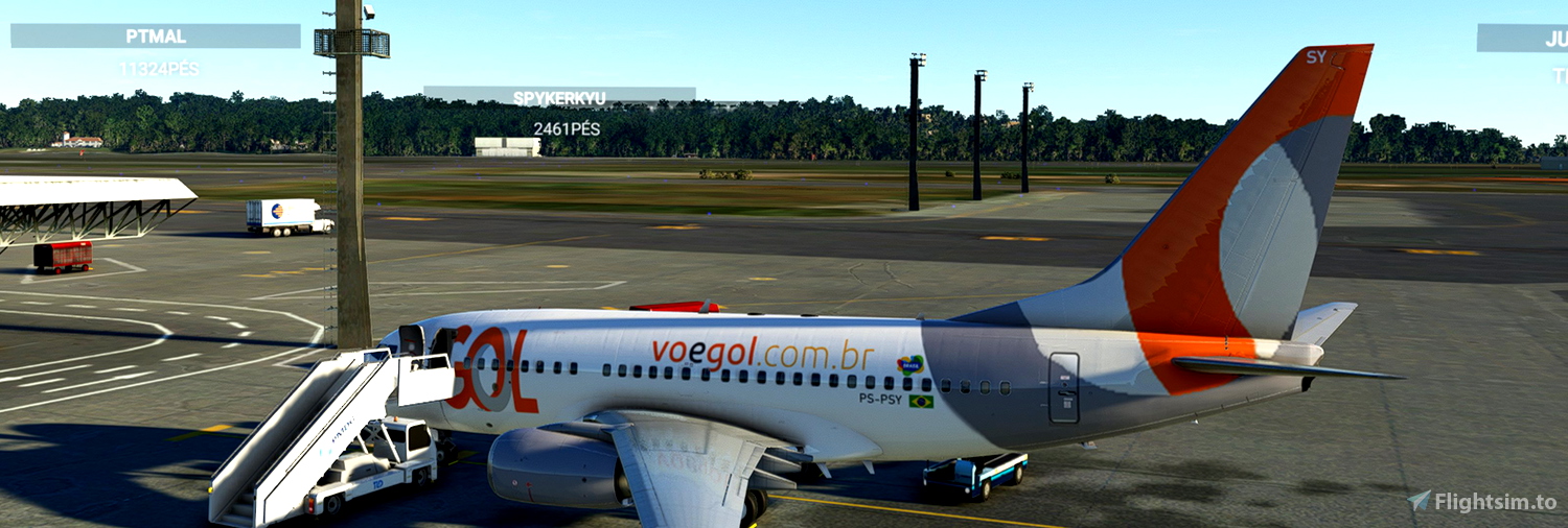 PMDG Boeing 737-600 Liveries for Microsoft Flight Simulator | MSFS ...