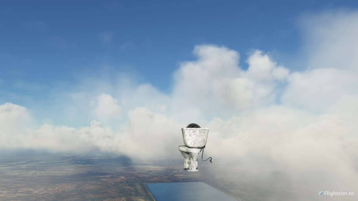 Golden Toilet livery for the Flying Toilet for Microsoft Flight ...