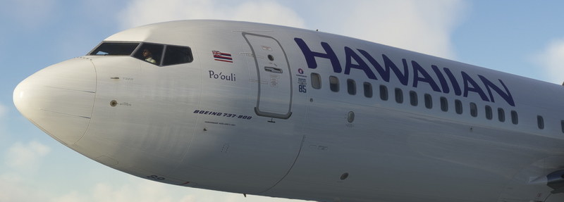 HAWAIIAN AIRLINES N489HA (FICTIONAL) 8K for Microsoft Flight Simulator ...