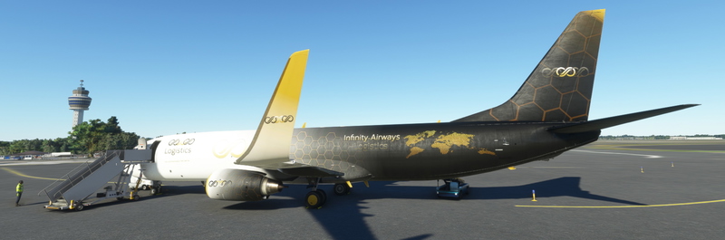 PMDG Boeing 737-800 Liveries for Microsoft Flight Simulator | MSFS ...
