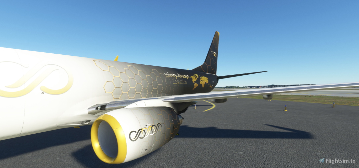 Infinity Airways Logistics Boeing 737 - 800 BDSF 对于 Microsoft Flight Simulator | MSFS