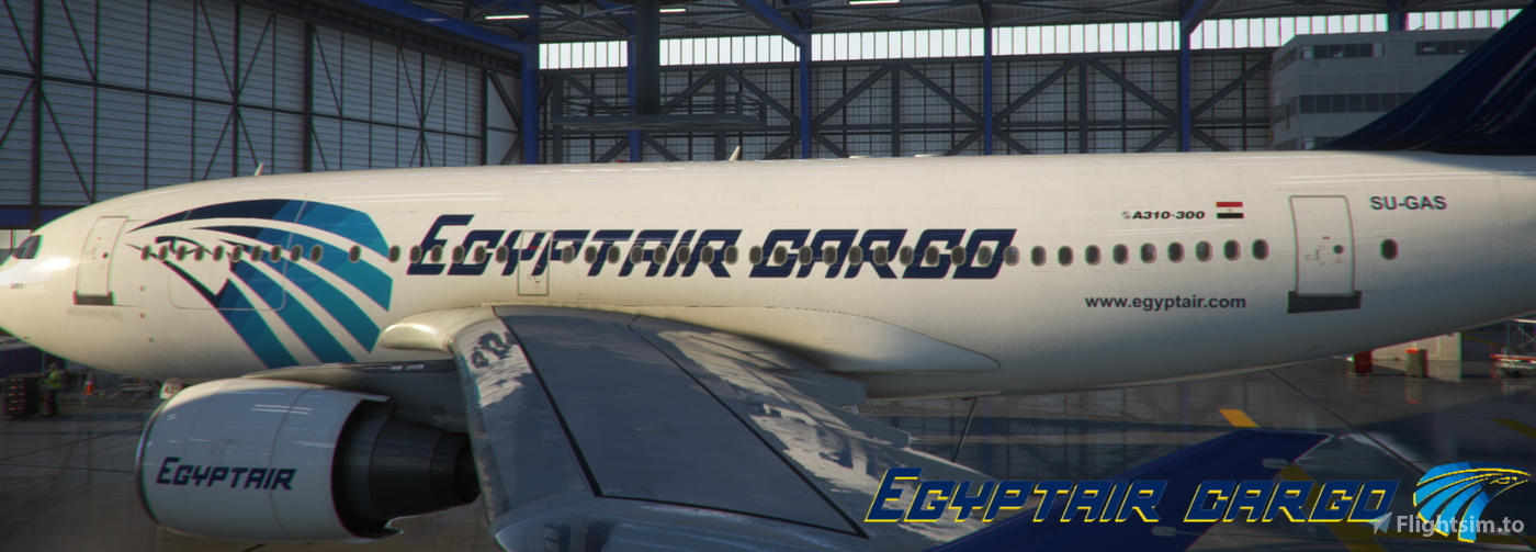 INI Simulations A310 Egyptair Two Pack: Cargo & Pax for Microsoft ...