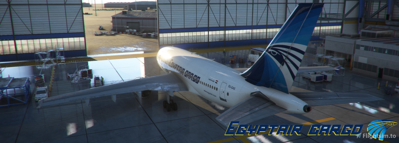 INI Simulations A310 Egyptair Two Pack: Cargo & Pax for Microsoft ...