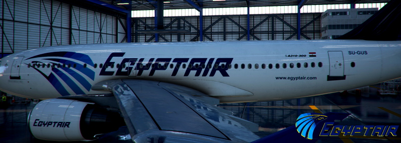 INI Simulations A310 Egyptair Two Pack: Cargo & Pax for Microsoft ...