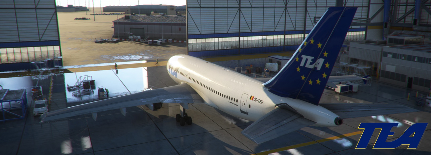 INI Simulations A310 TEA OO-TEF for Microsoft Flight Simulator | MSFS