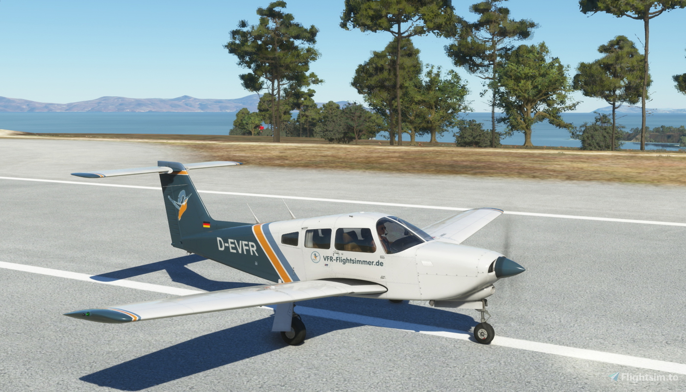 delete for Microsoft Flight Simulator | MSFS