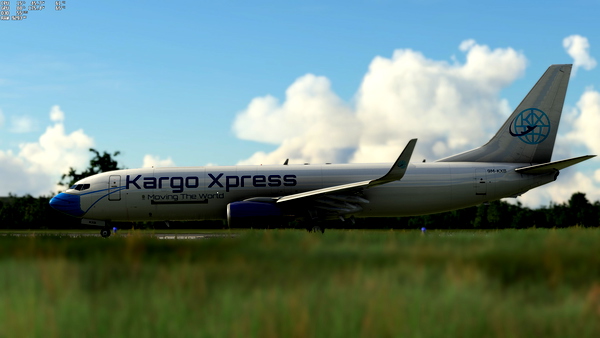 World Cargo Airlines 737-800-BCF 9M-WCA » Microsoft Flight Simulator