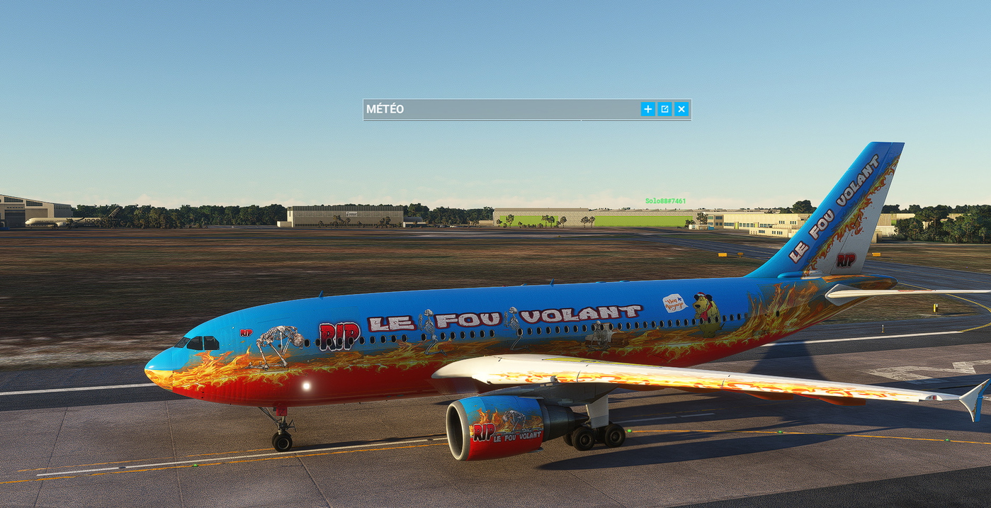 LE FOU VOLANT LIVREES DE A310-300 fAIT PAR RGSfrancevoyage for ...