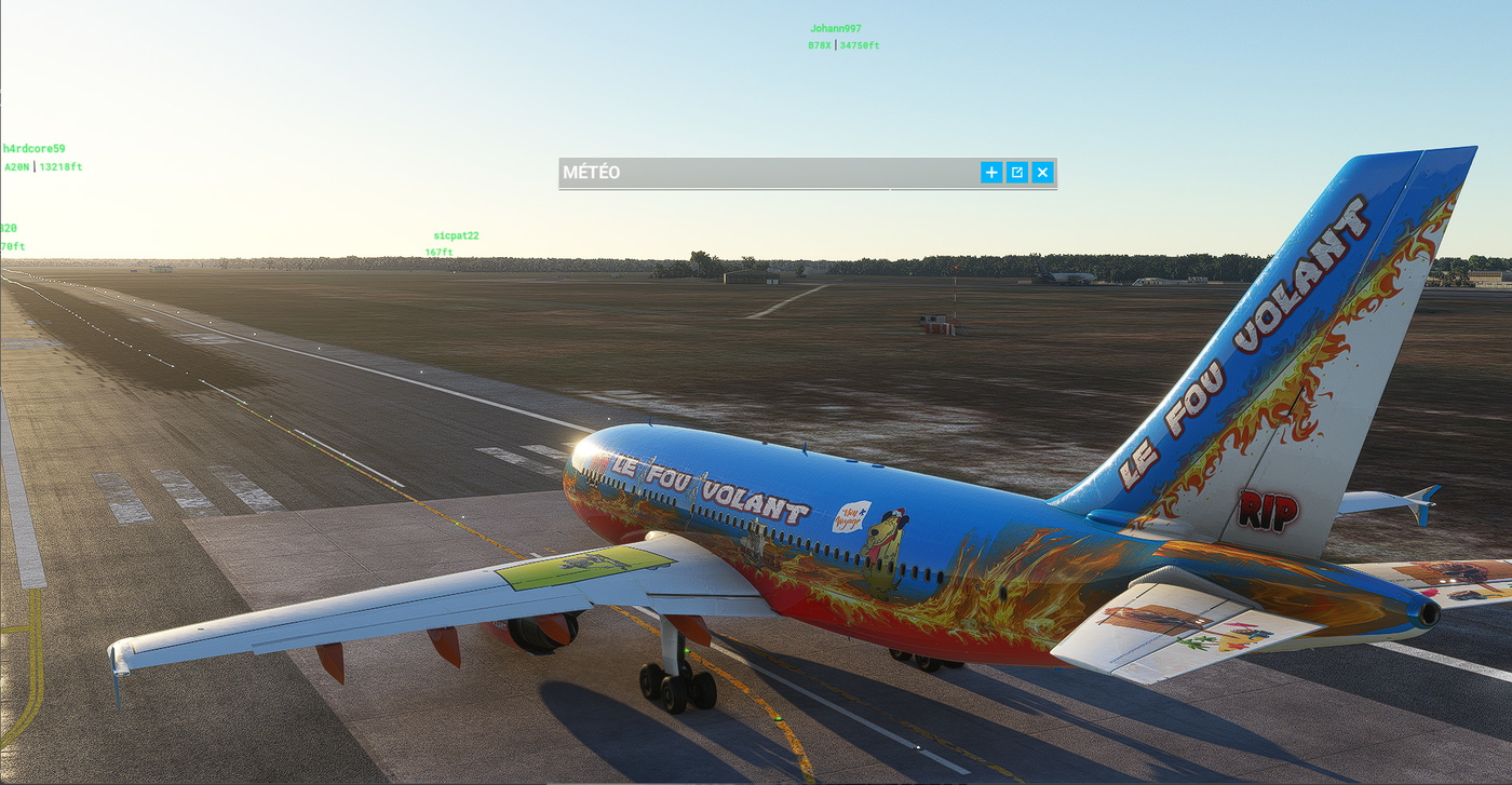 LE FOU VOLANT LIVREES DE A310-300 fAIT PAR RGSfrancevoyage for ...
