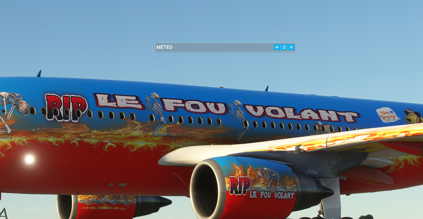 LE FOU VOLANT LIVREES DE A310-300 fAIT PAR RGSfrancevoyage for ...