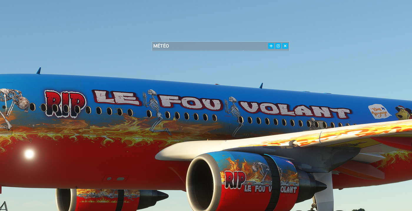 LE FOU VOLANT LIVREES DE A310-300 fAIT PAR RGSfrancevoyage for ...