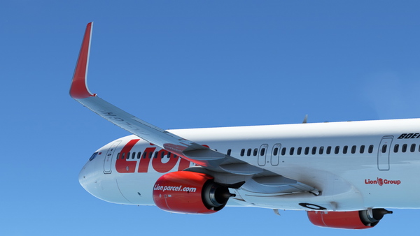 Lion Air / PK-LSJ for Microsoft Flight Simulator | MSFS