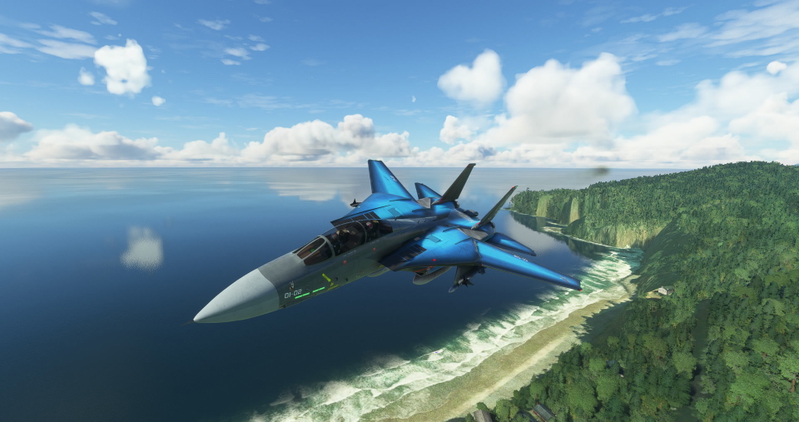 DC Designs F-14 Liveries for Microsoft Flight Simulator | MSFS