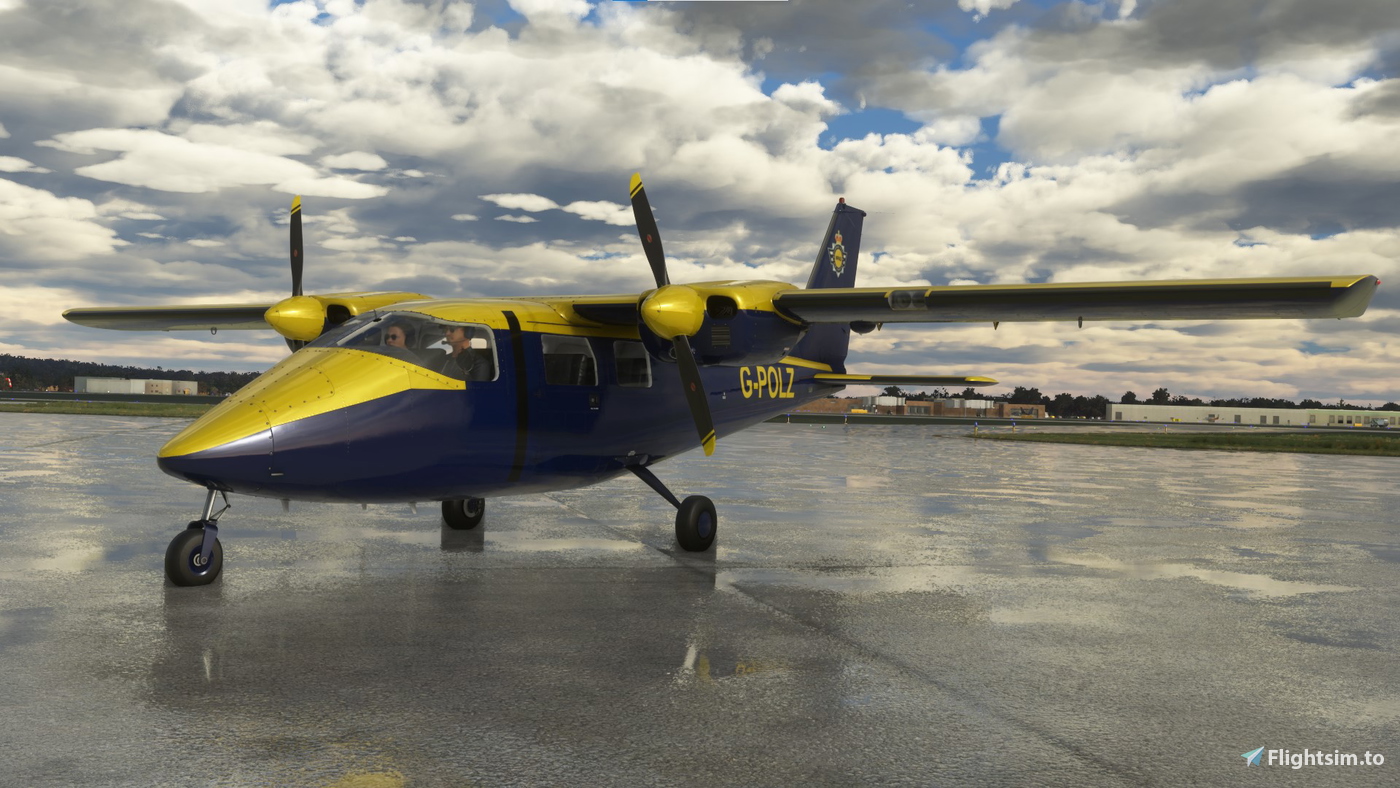 Liveries of NPAS for Nemeth Designs' P68B (requested) for Microsoft ...