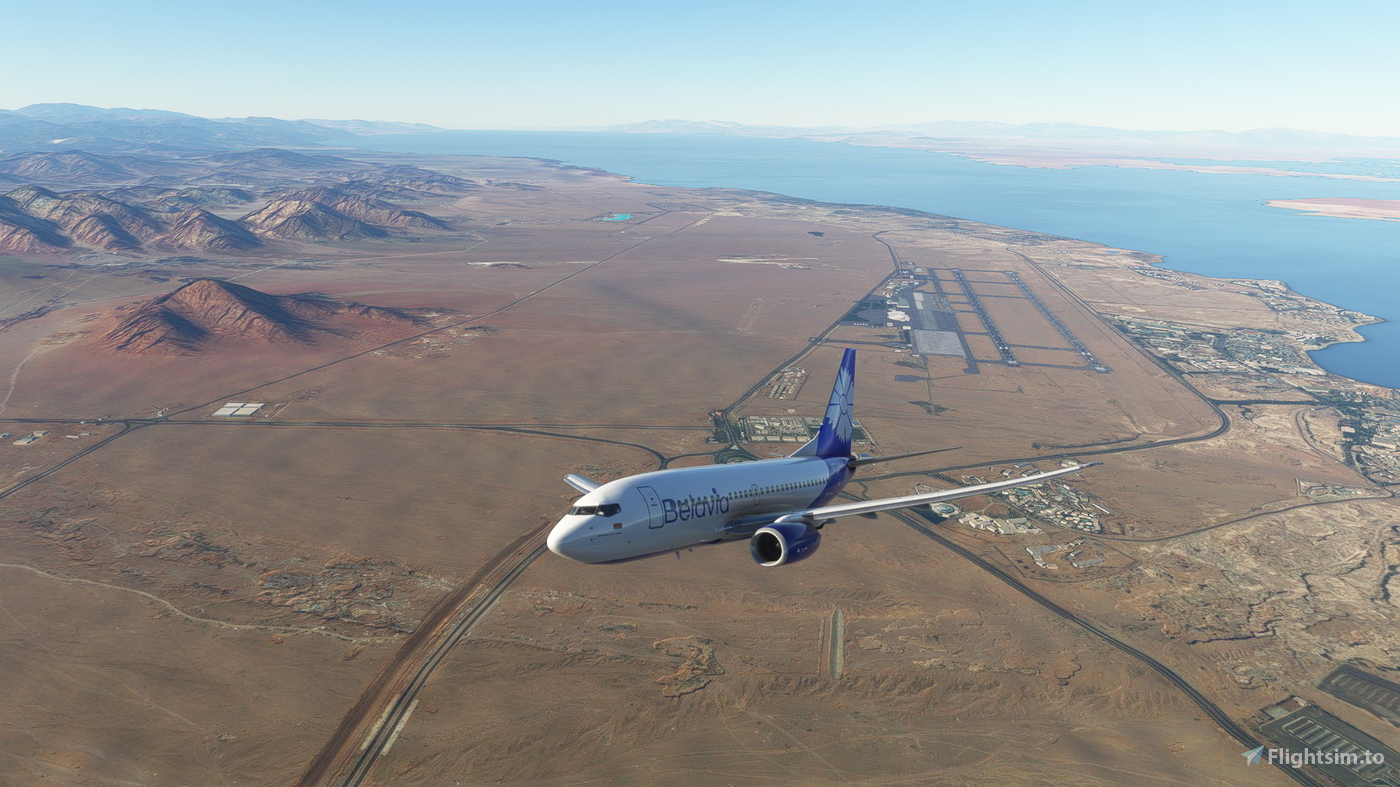 Livery Belavia(NEW) for PMDG 737-600 for Microsoft Flight Simulator | MSFS