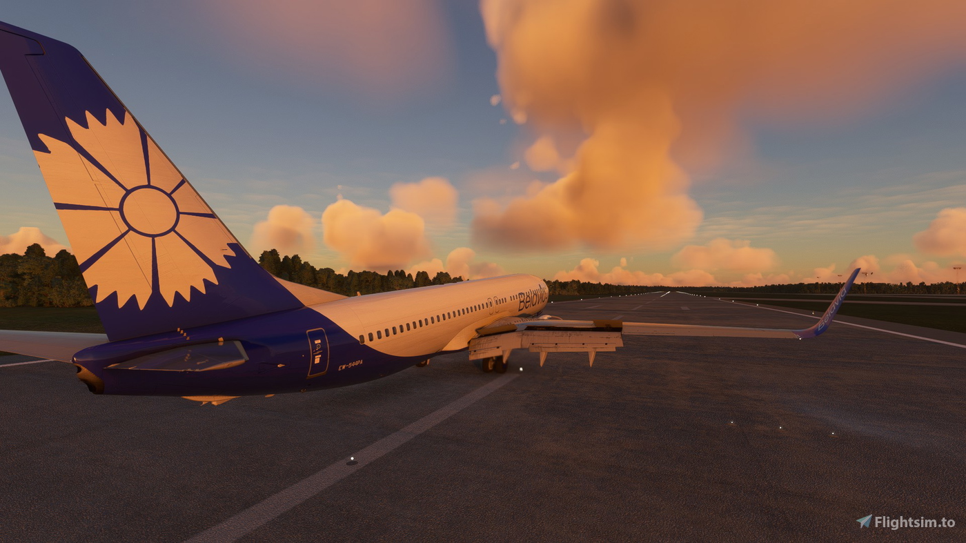 Livery Belavia(new) for PMDG 737-800 for Microsoft Flight Simulator | MSFS