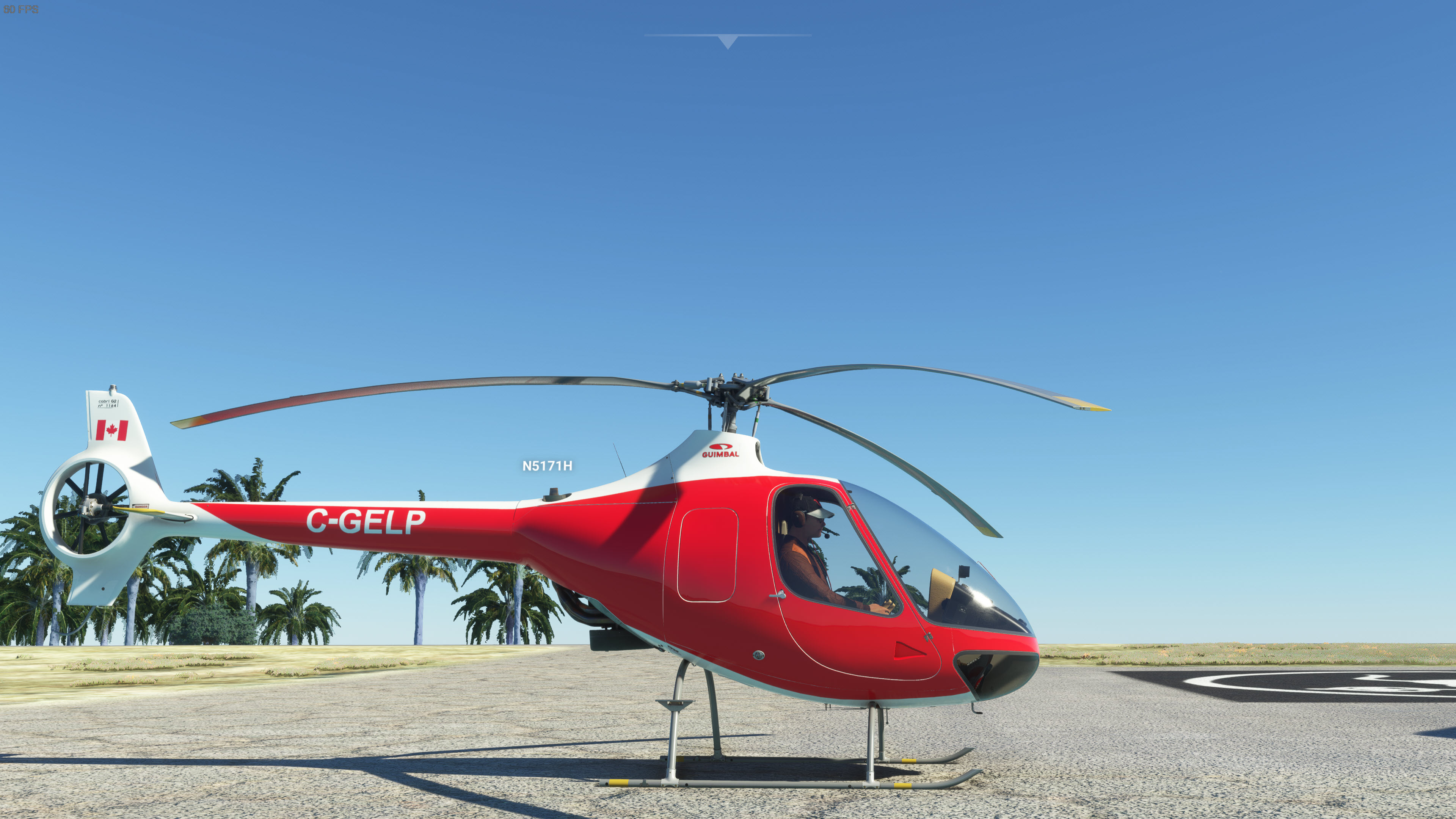 Livery Cabri G2 C-GELP - MSFS Add-on - Flightsim.to