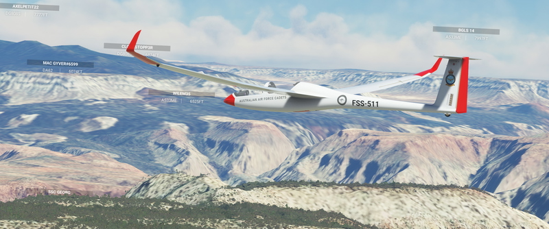 Livery DG1001E Australian Air Force Cadets for Microsoft Flight ...