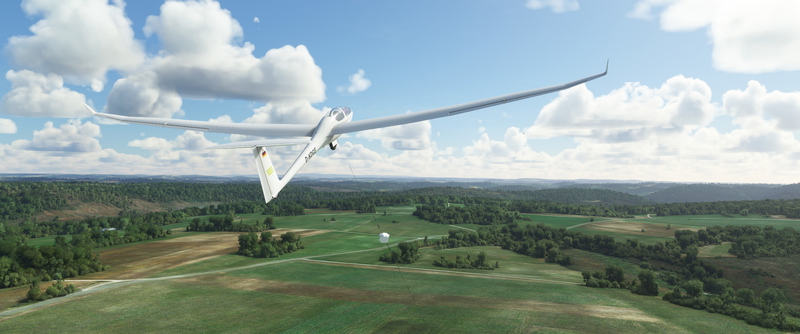 Livery DG1001E D-KDGE for Microsoft Flight Simulator | MSFS