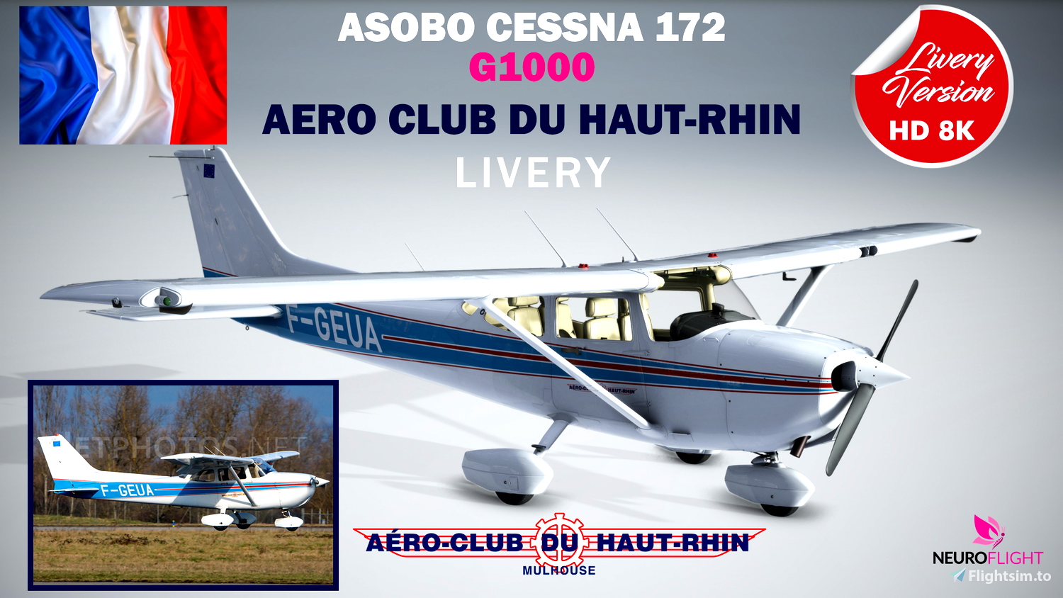 Cessna 172 Liveries for Microsoft Flight Simulator | MSFS | Flightsim.to