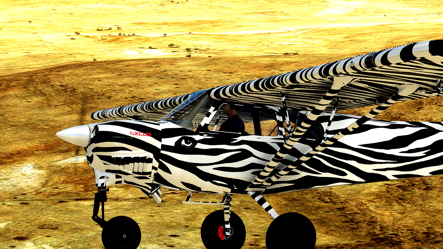 CubCrafters NX Cub Liveries for Microsoft Flight Simulator | MSFS ...