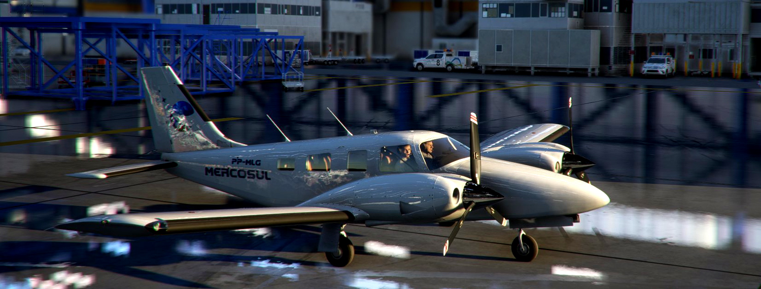 PA34T Seneca V Liveries for Microsoft Flight Simulator | MSFS ...