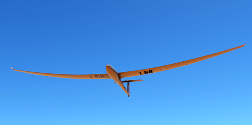 LS8 real wood for Microsoft Flight Simulator | MSFS