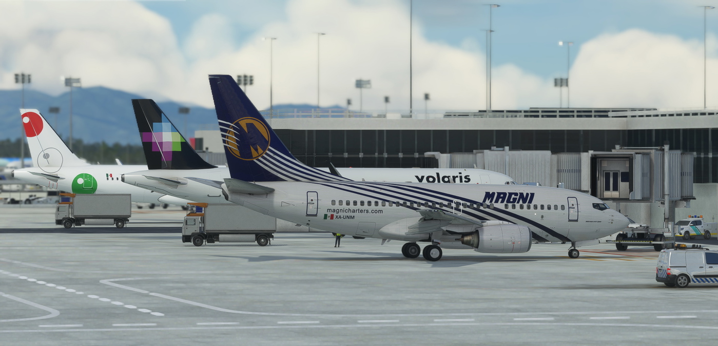 Magnicharters PMDG Boeing 737-600 & 700 WL (2 Liveries 1.0) pro ...