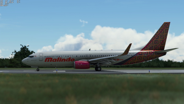 World Cargo Airlines 737-800-BCF 9M-WCA (UPDATE 2023-01-28 with .ptp) for Microsoft Flight ...