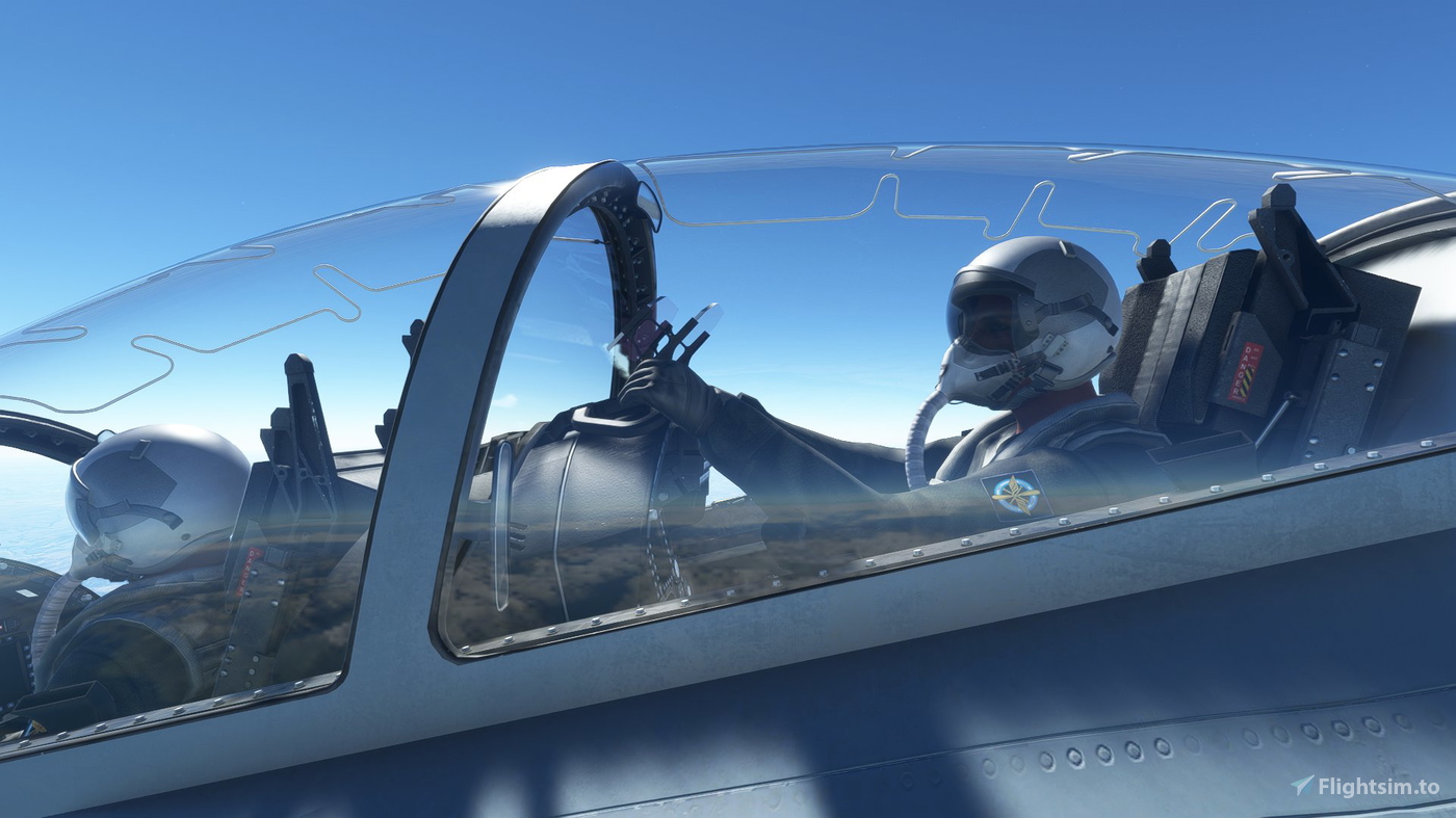 MB-346 Leonardo Fuerza Aérea Argentina for Microsoft Flight Simulator ...