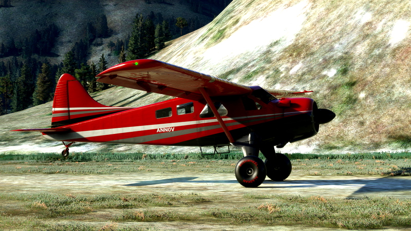 Havilland DHC-2 Beaver Liveries for Microsoft Flight Simulator | MSFS ...