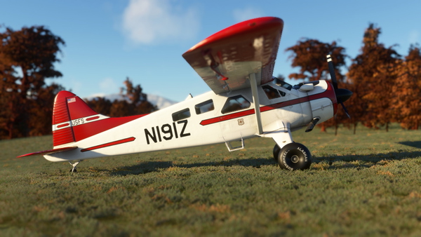 Microsoft DHC-2 Beaver - Red Bush Livery for Microsoft Flight Simulator ...