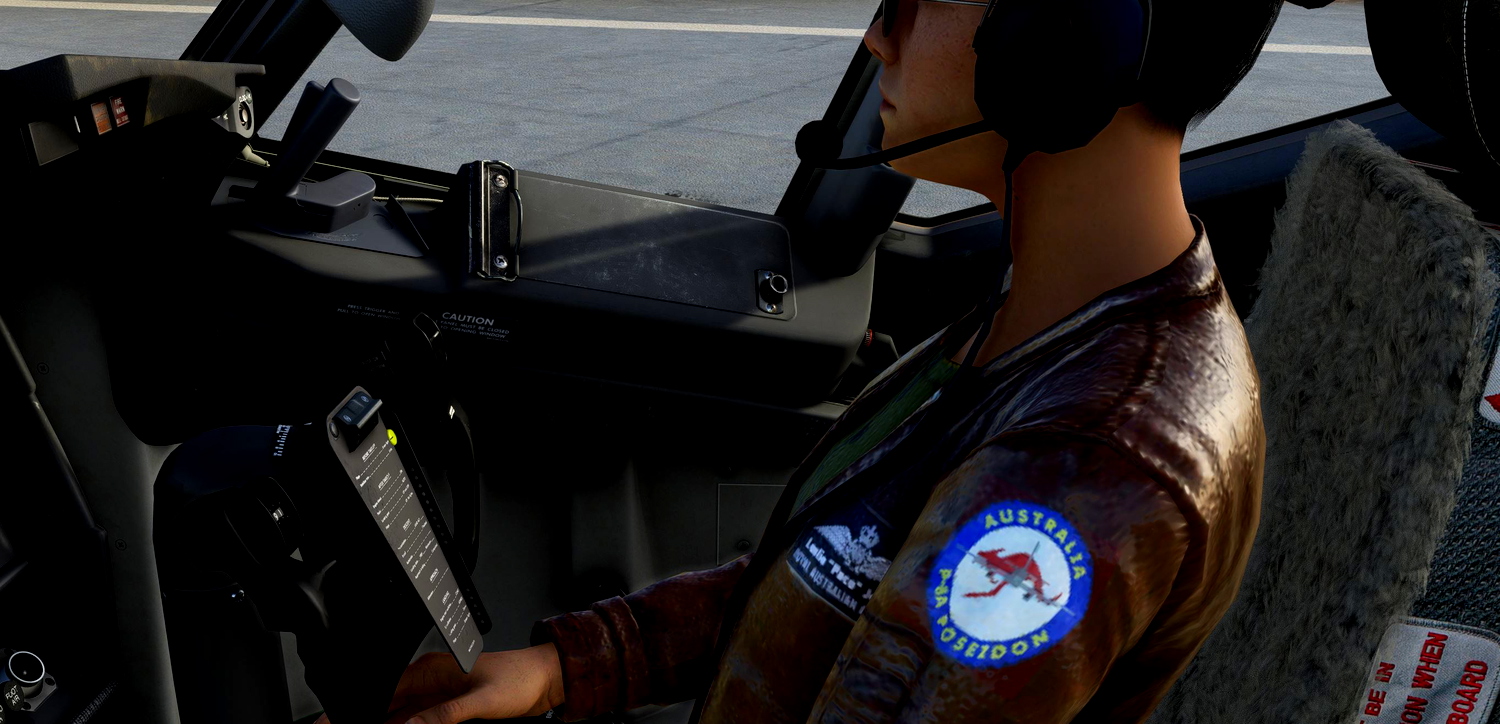 PMDG Boeing 737-800 for Microsoft Flight Simulator | MSFS | Flightsim.to