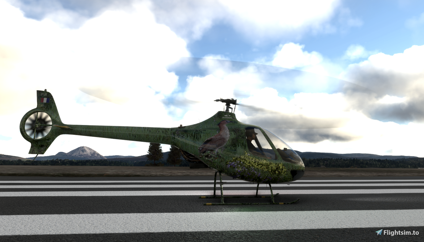 MSFS Stock ASOBO Cabri G2 Green Forest Repaint for Microsoft Flight ...