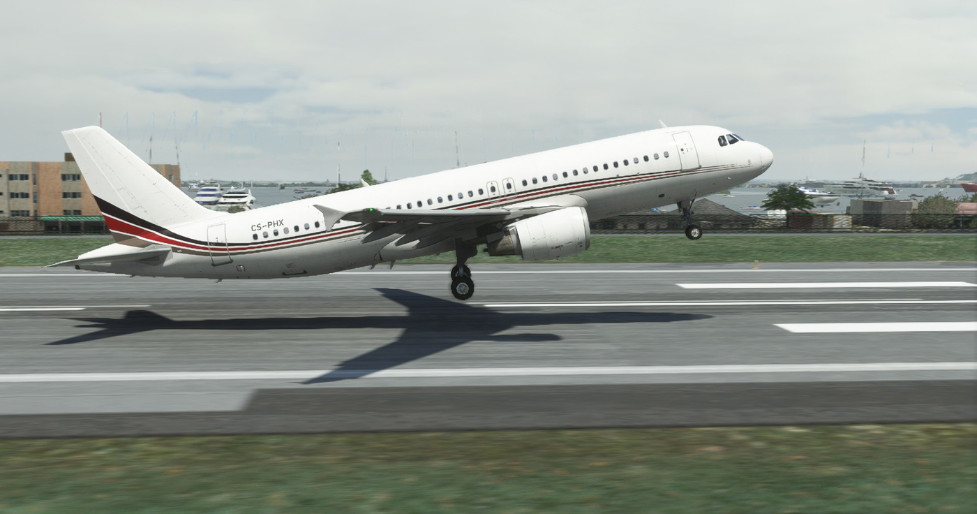 NetJets Europe Fenix A320 Ceo with cabin for Microsoft Flight Simulator ...