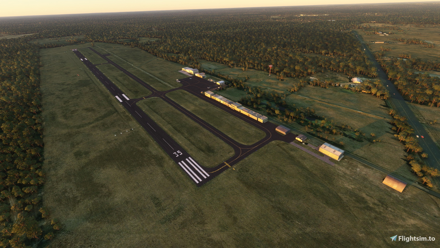 NETX Small Airports Pack V2 のために Microsoft Flight Simulator | MSFS