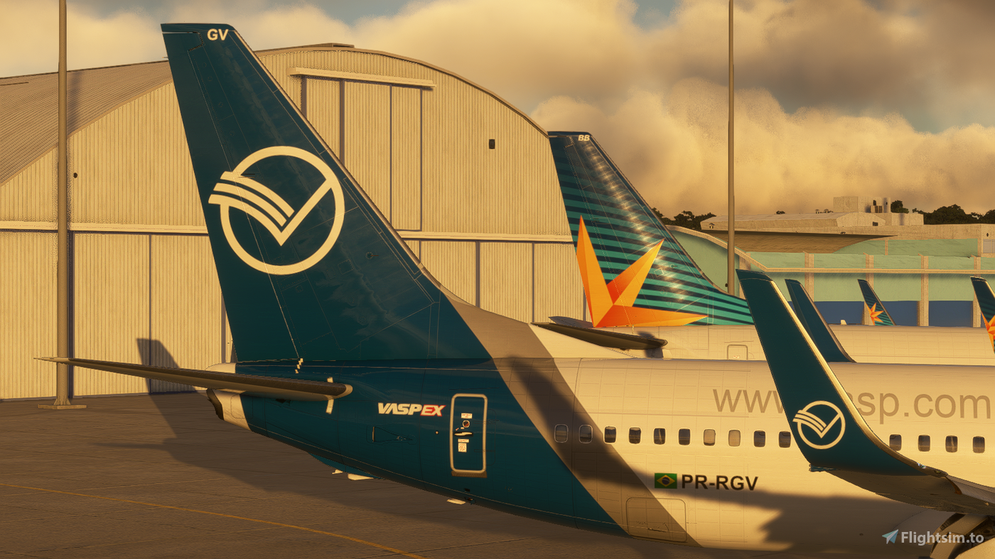 NEW VASP Viação Aérea São Paulo - (PR-RGV) - 8k-resolution - PMDG 737 ...