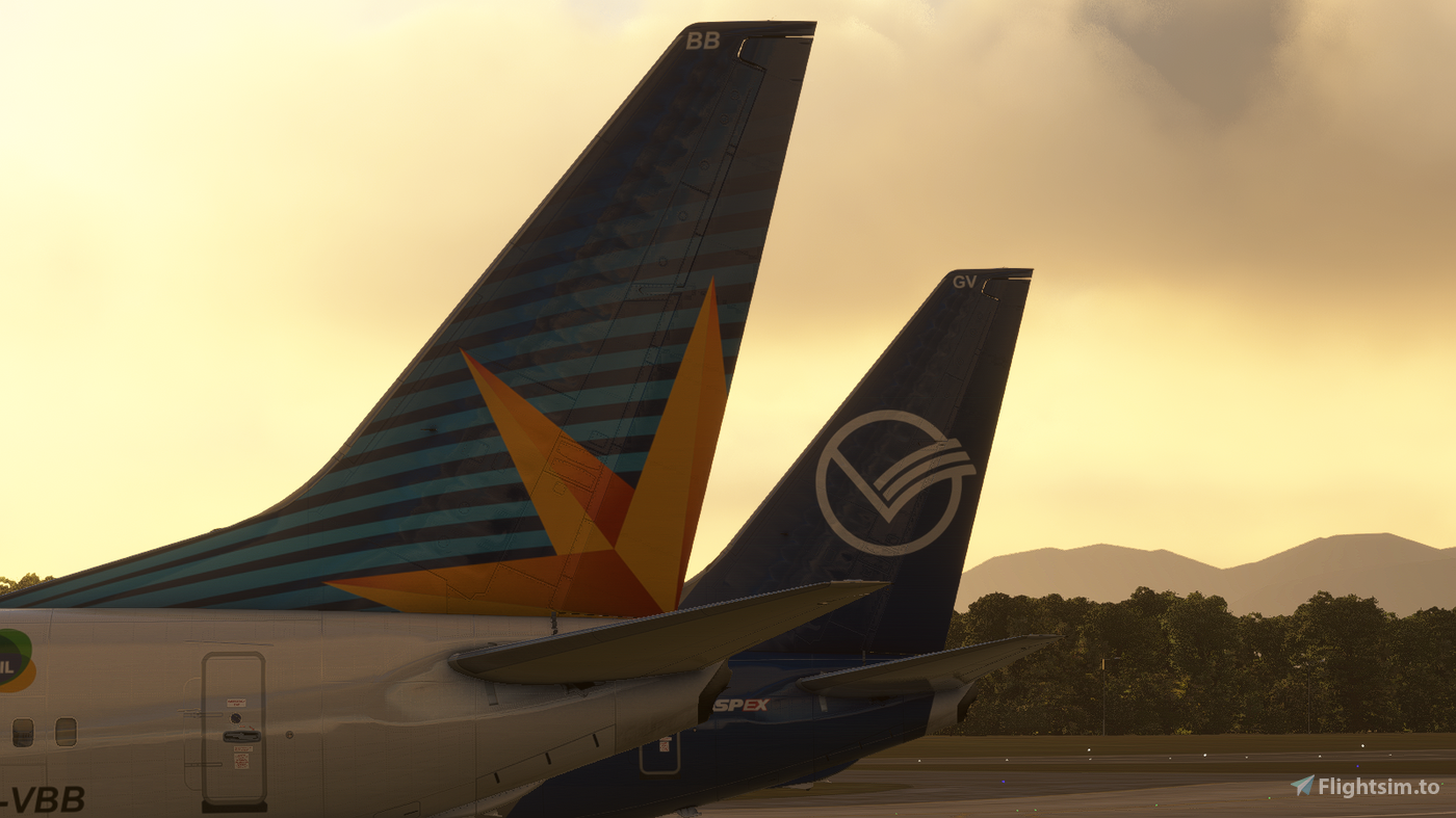 NEW VASP Viação Aérea São Paulo - (PR-RGV) - 8k-resolution - PMDG 737 ...