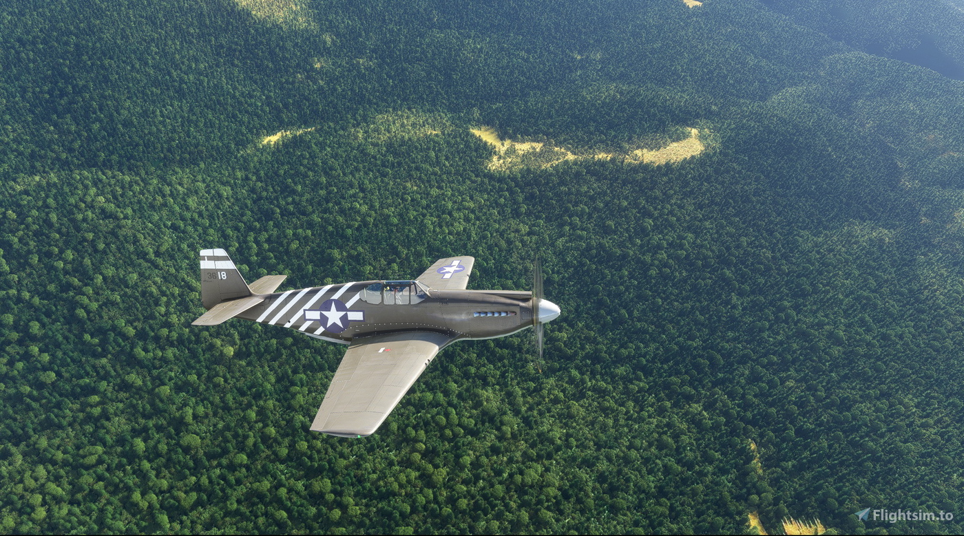 North American P-51A 1st ACG #18 "Carol's Daddy" for Microsoft Flight ...