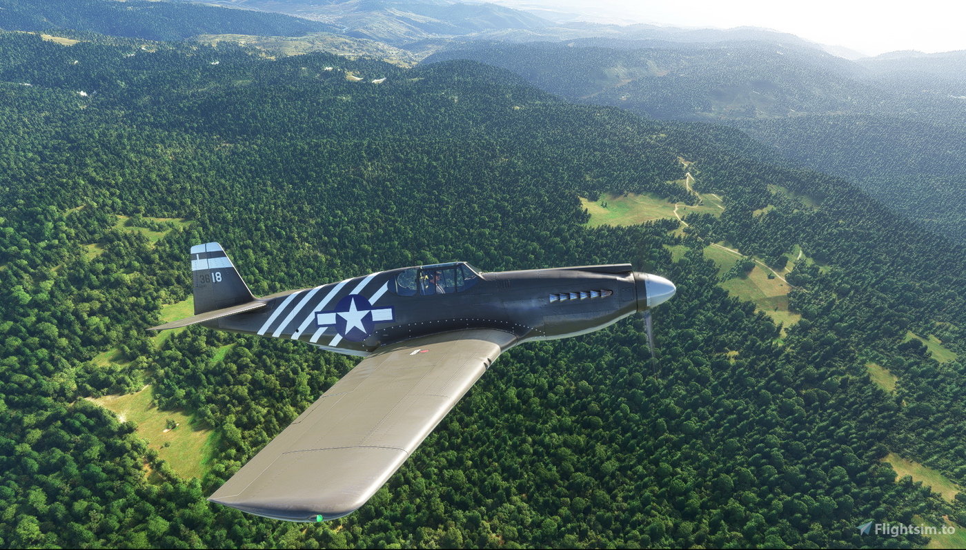 North American P-51A 1st ACG #18 "Carol's Daddy" for Microsoft Flight ...