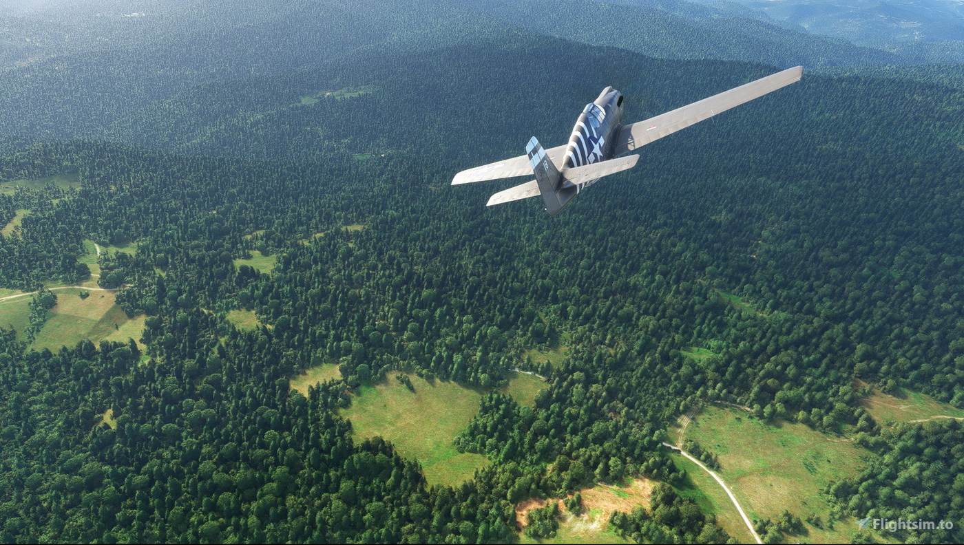 North American P-51A 1st ACG #18 "Carol's Daddy" for Microsoft Flight ...