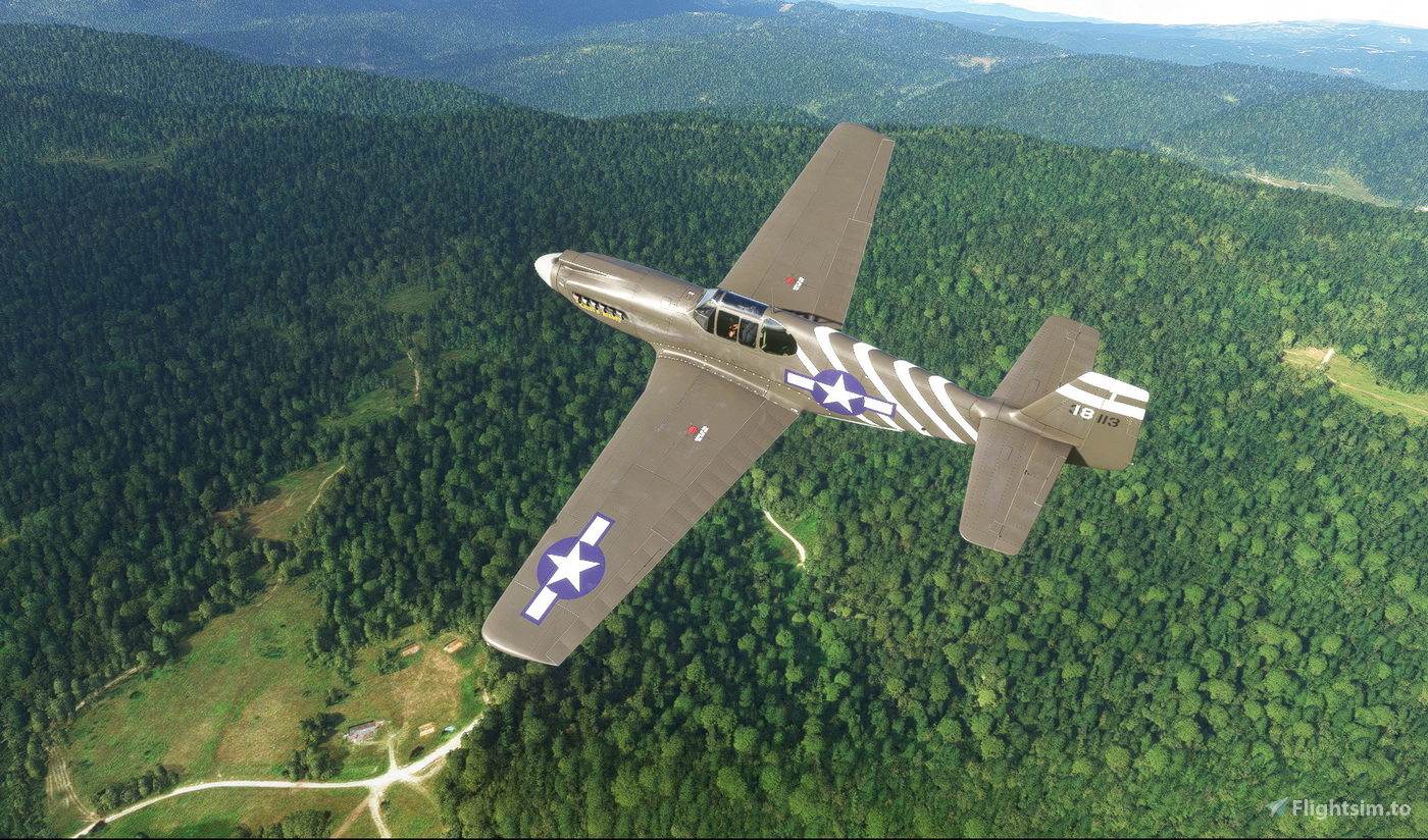 North American P-51A 1st ACG #18 "Carol's Daddy" for Microsoft Flight ...