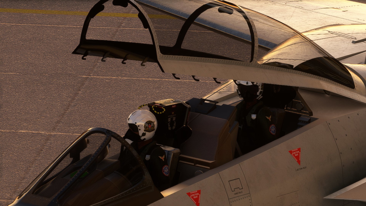 Outcasts Warbird Friday Livery for the DC Designs F-14B for Microsoft ...