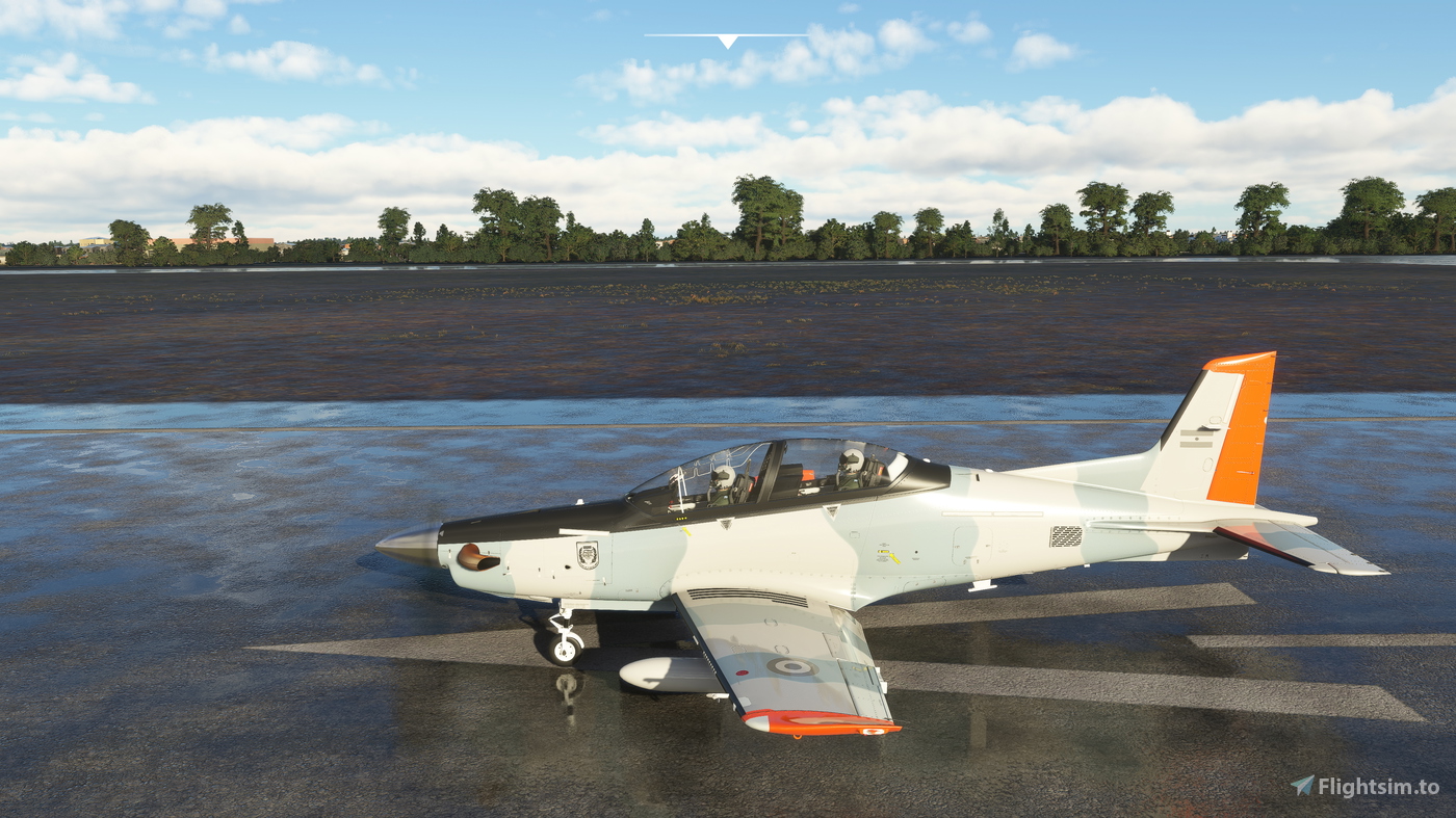 PC21 IRIS Pilatus Argentine Air Force, low visibility from Tucano ...