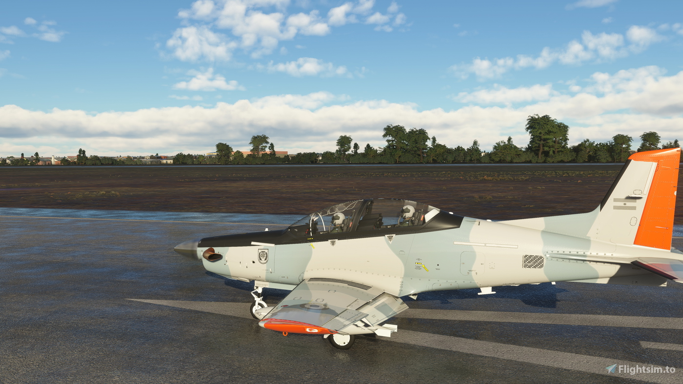 PC21 IRIS Pilatus Argentine Air Force, low visibility from Tucano ...