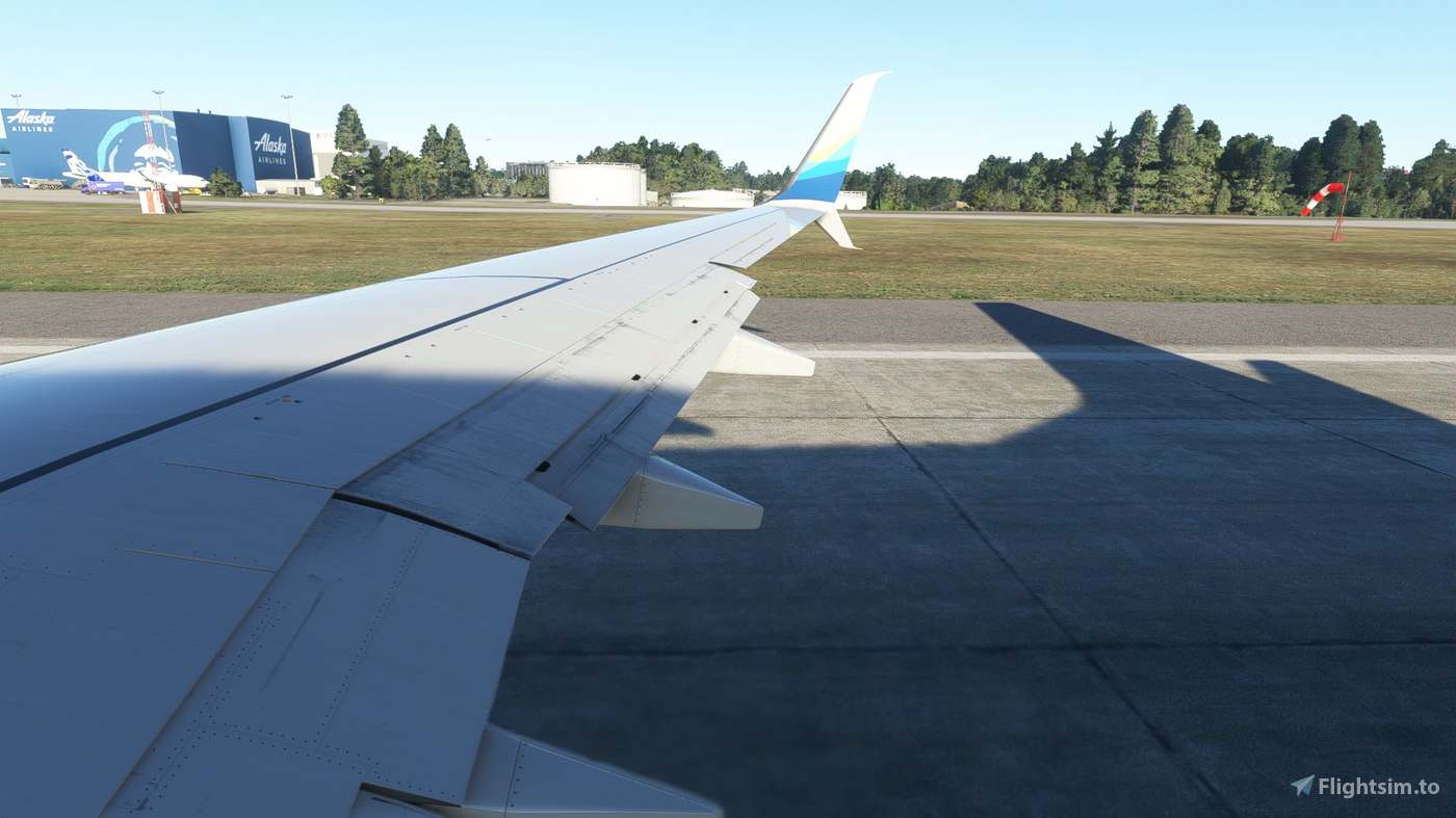 PDMG B737-800 Wing Views for Microsoft Flight Simulator | MSFS