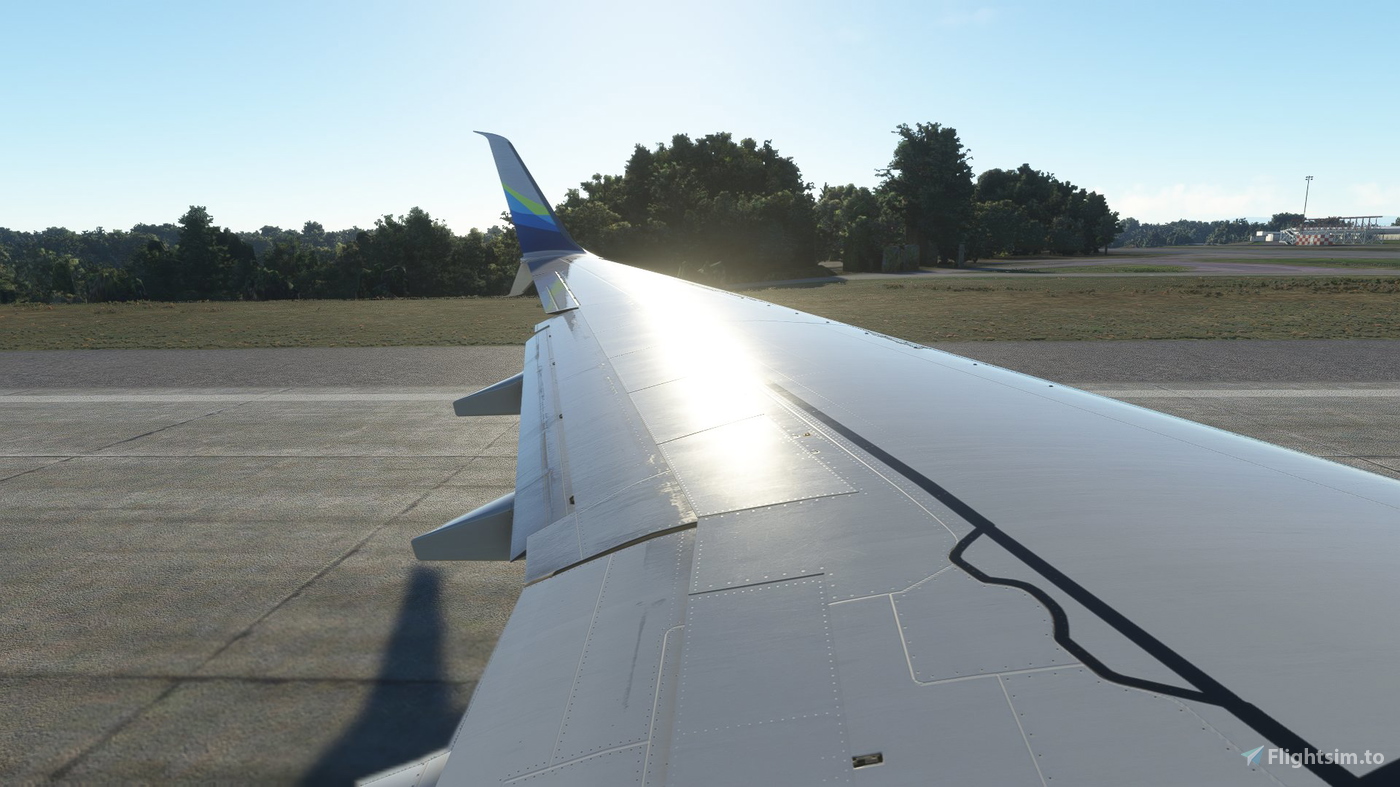 PDMG B737-800 Wing Views for Microsoft Flight Simulator | MSFS