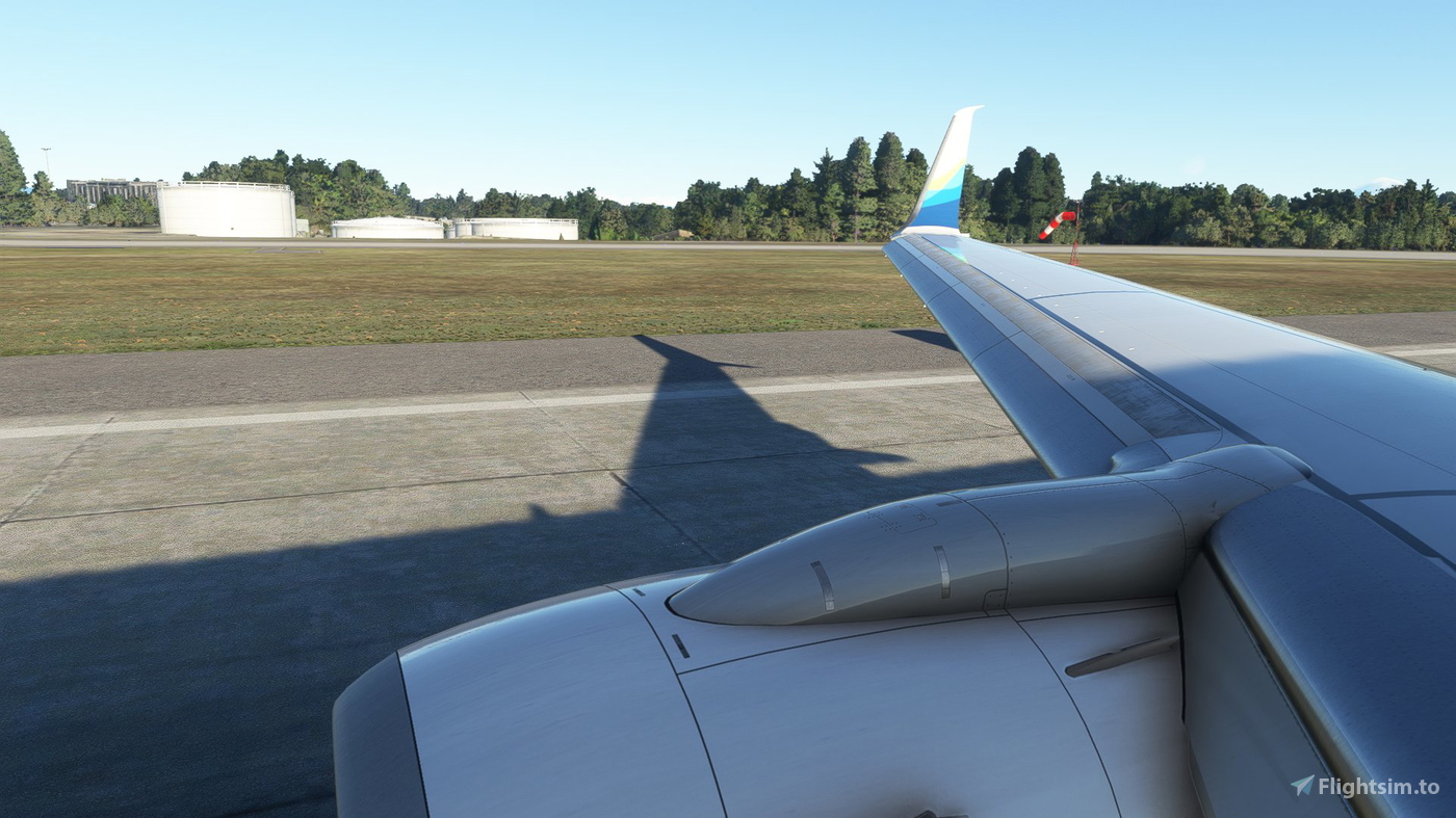 PDMG B737-800 Wing Views for Microsoft Flight Simulator | MSFS